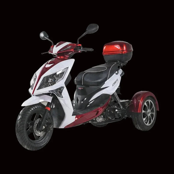 Amigo Tryker 300cc trike – TurboPowersports.com