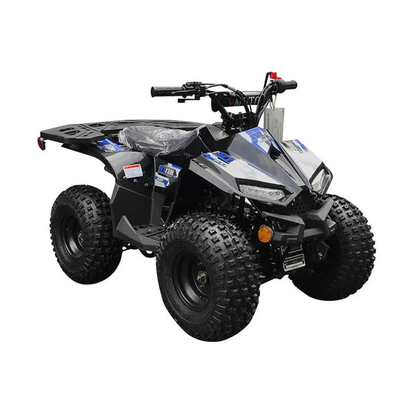 Amigo Tryker 300cc trike scooter – TurboPowersports.com