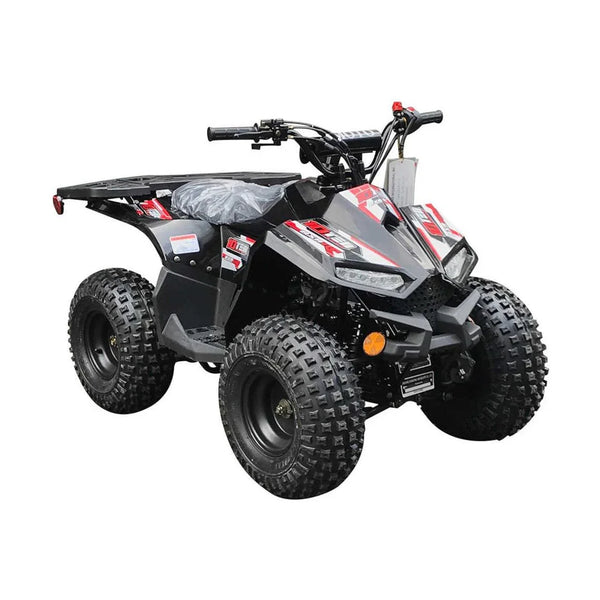 Amigo Tryker 300cc trike scooter – TurboPowersports.com